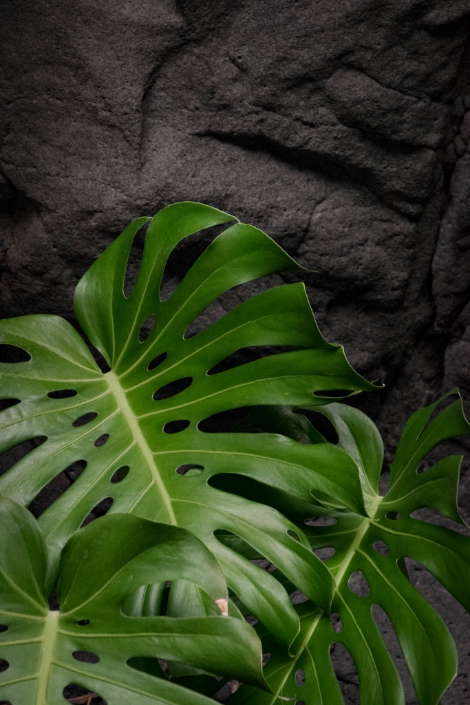 Une semaine à Lanzarote : les incontournables – L'Apprentie Voyageuse ...