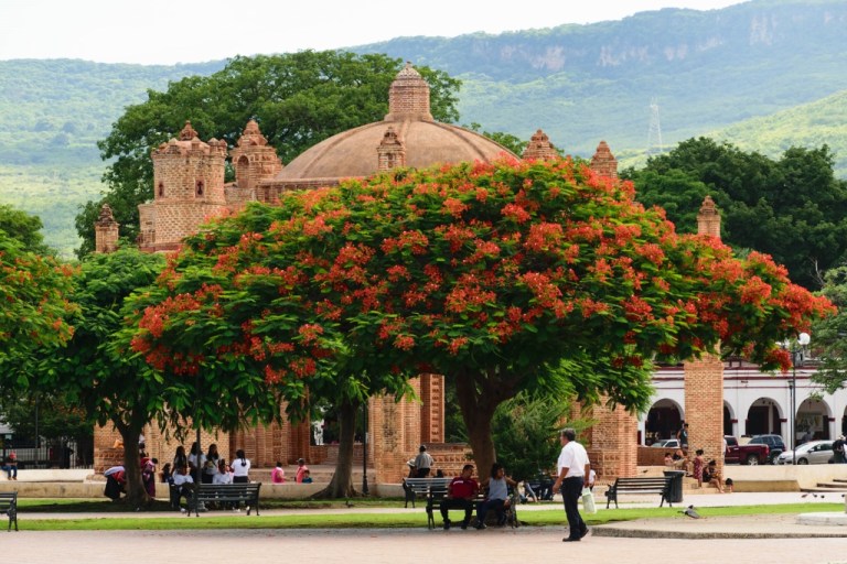 Que voir en 10 jours au Chiapas ? Les incontournables – L'Apprentie ...