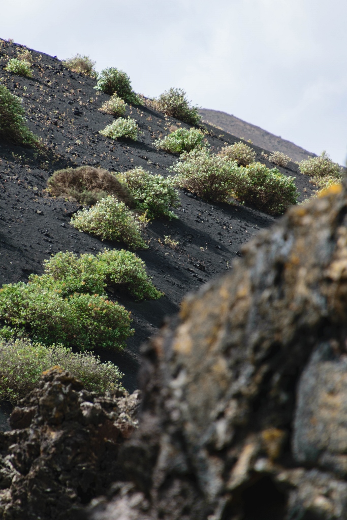 Que voir en une semaine à Lanzarote : les incontournables – L'Apprentie ...