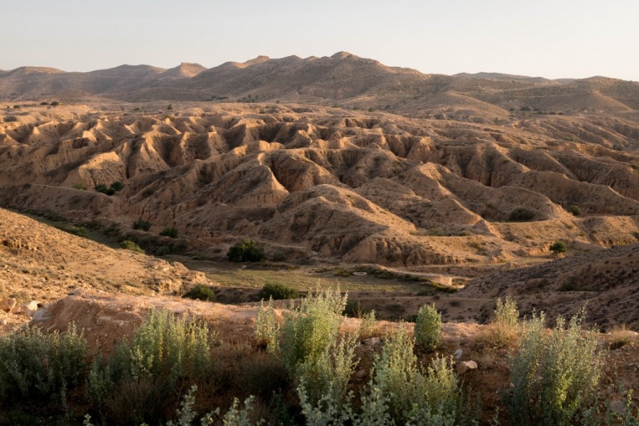 Visiter le Dahar, une région authentique au sud de la Tunisie – L ...